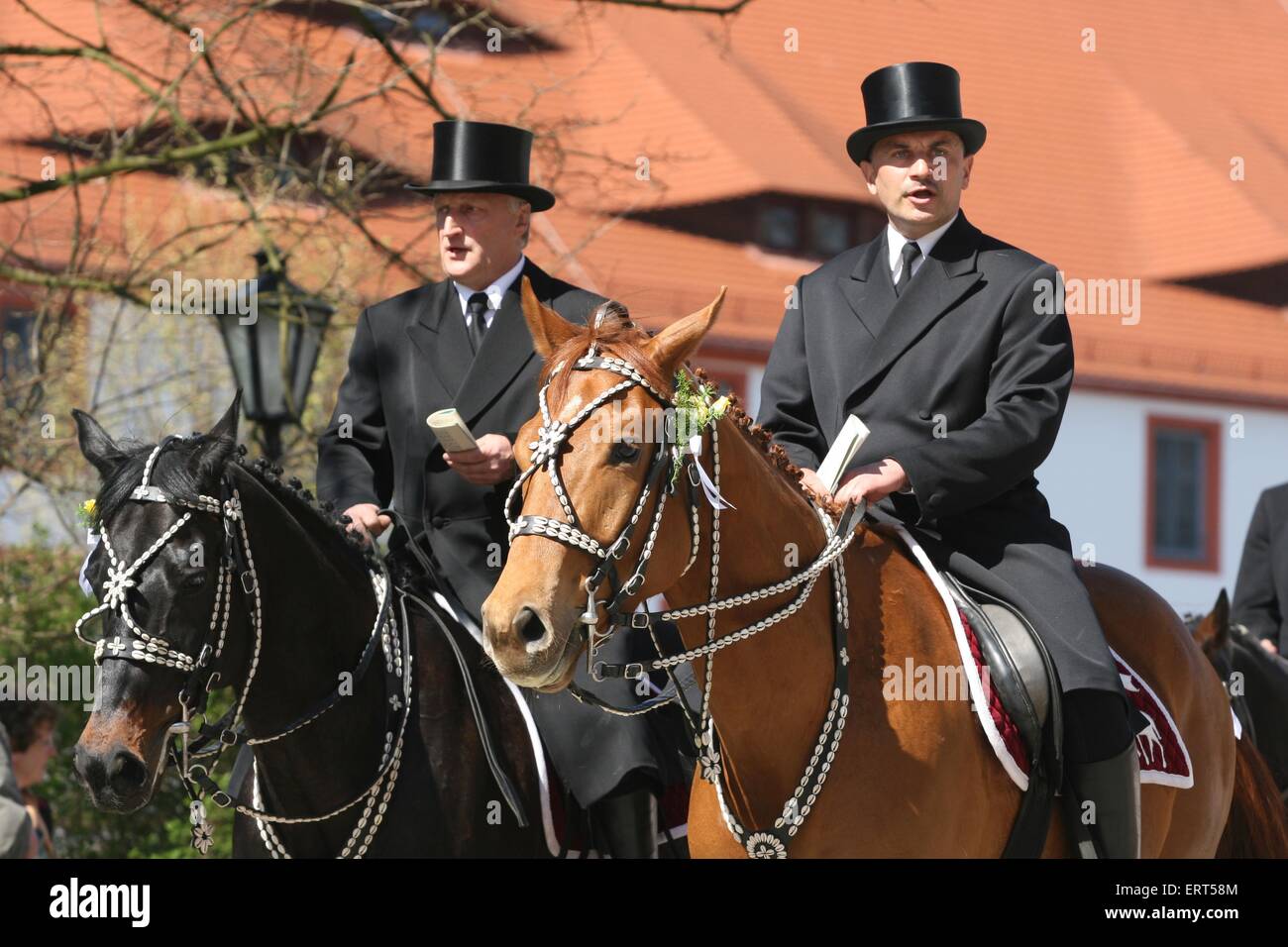 Spring riding horse hi-res stock photography and images - Alamy