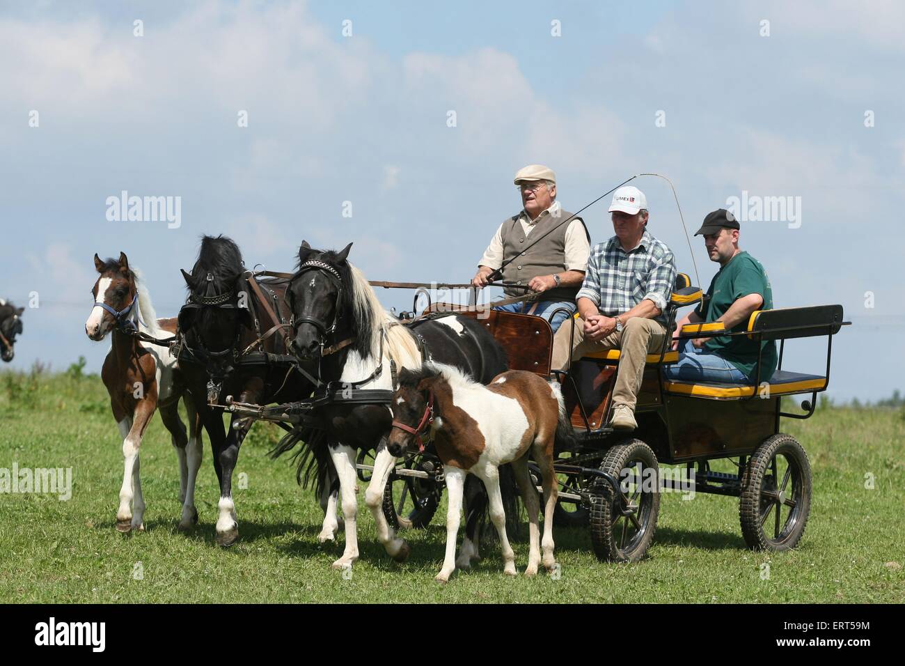 Coach and four horses hi-res stock photography and images - Alamy