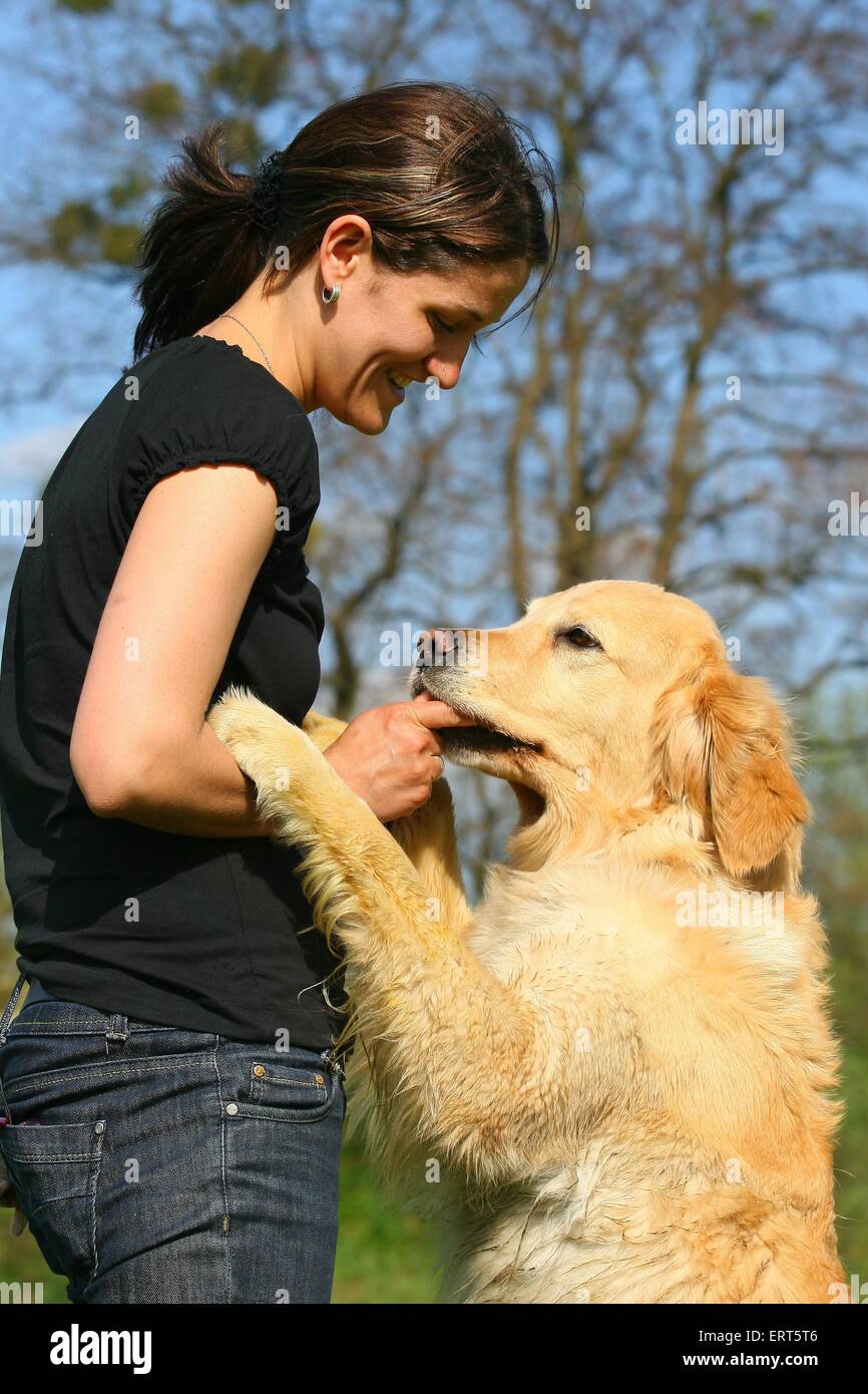Woman feeds golden retriever hi-res stock photography and images - Alamy