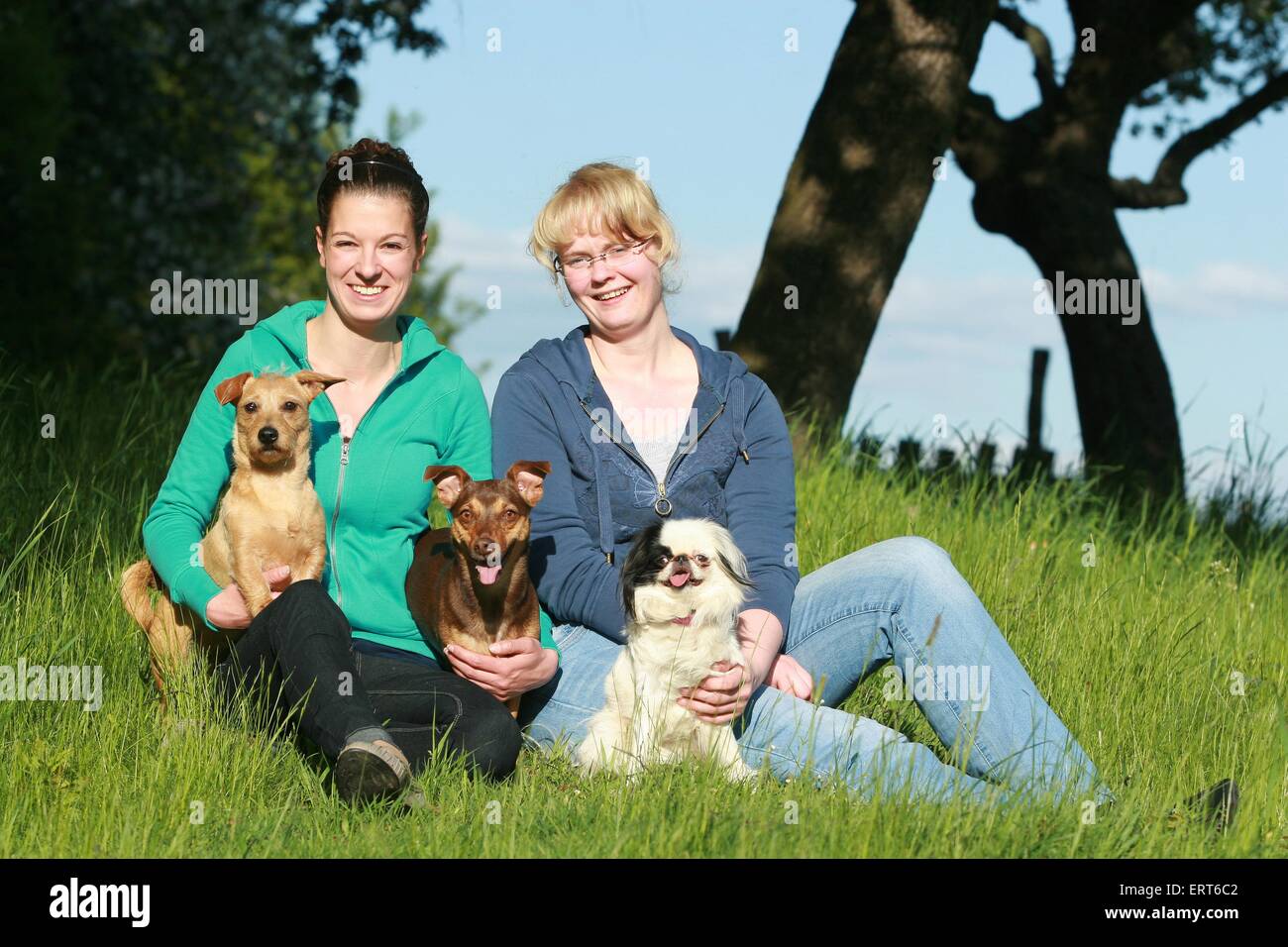 women with dogs Stock Photo - Alamy