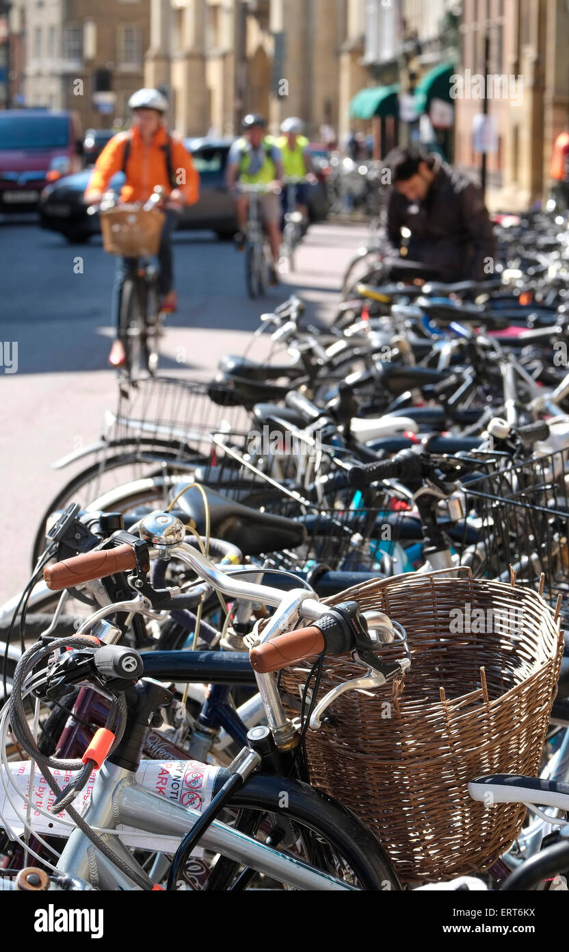 cyclists cycling in street, cambridge, england Stock Photo - Alamy