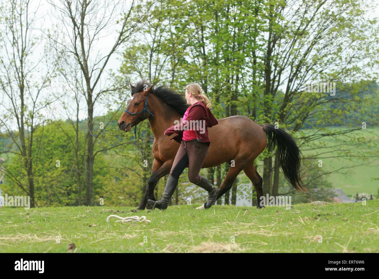 Riding pony hi-res stock photography and images - Alamy