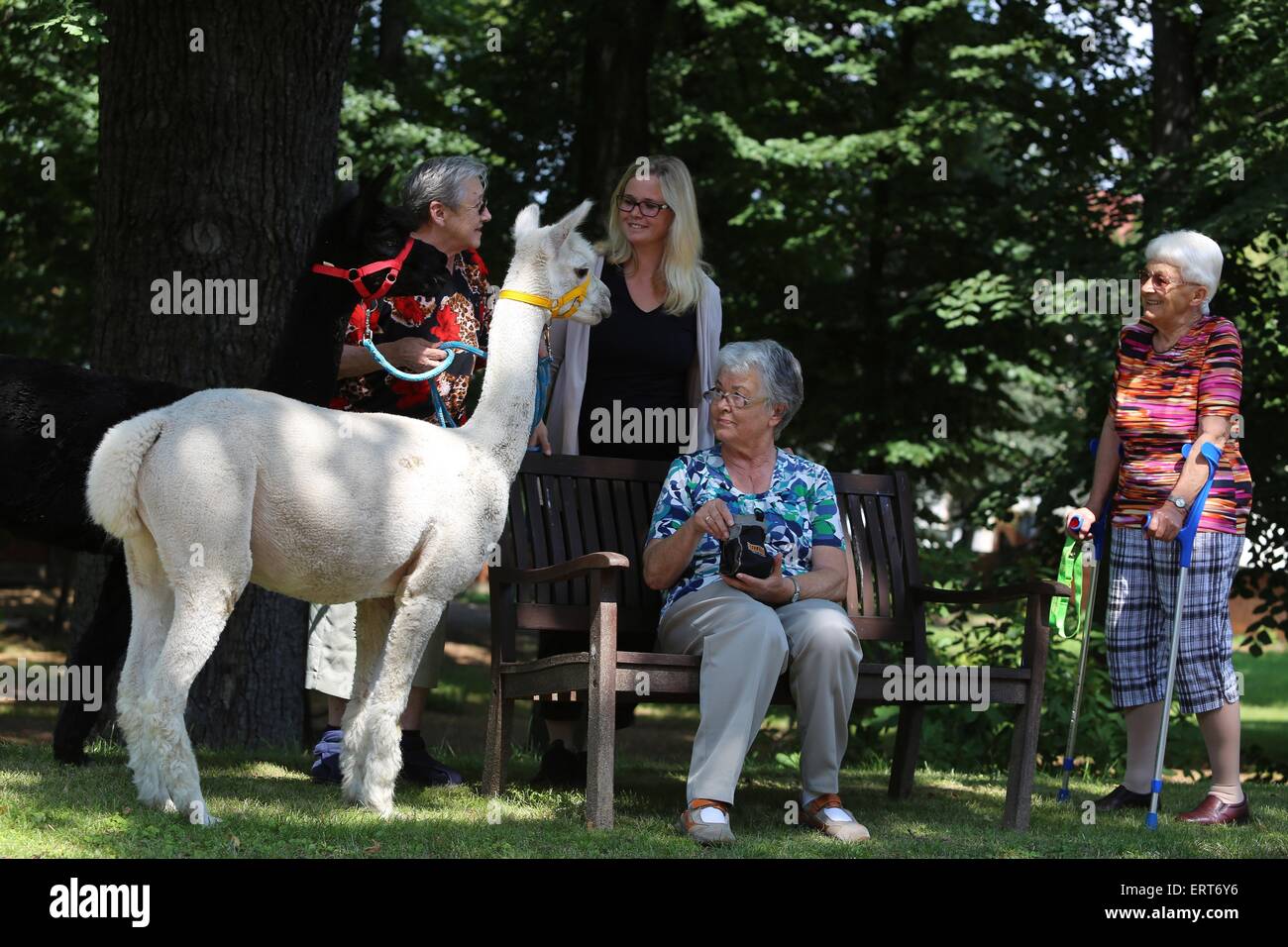 Animal therapy elderly hi-res stock photography and images - Alamy
