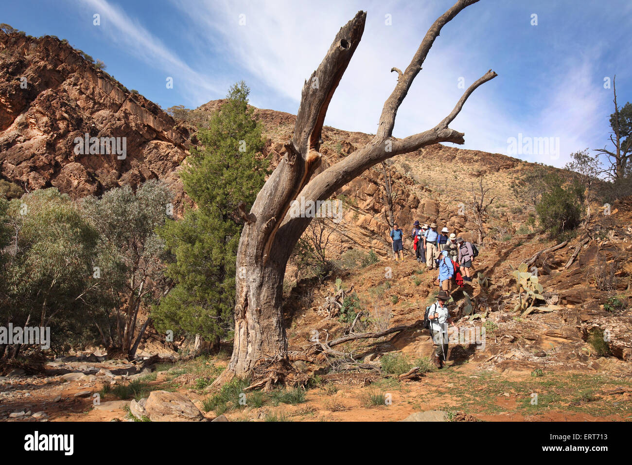 Bushwalkers at Blinman Pools. Flinders Ranges, South Australia Stock ...