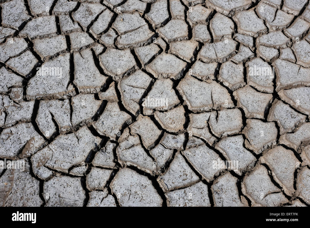 dried salt marsh bed, stiffkey beach, north norfolk, england Stock ...