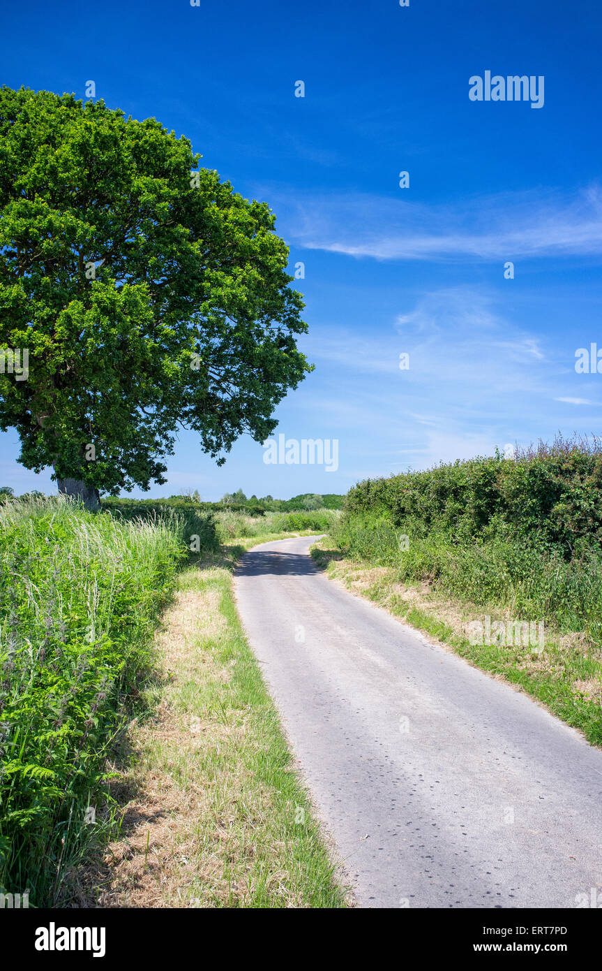 Rural lane and blue sky hi-res stock photography and images - Alamy