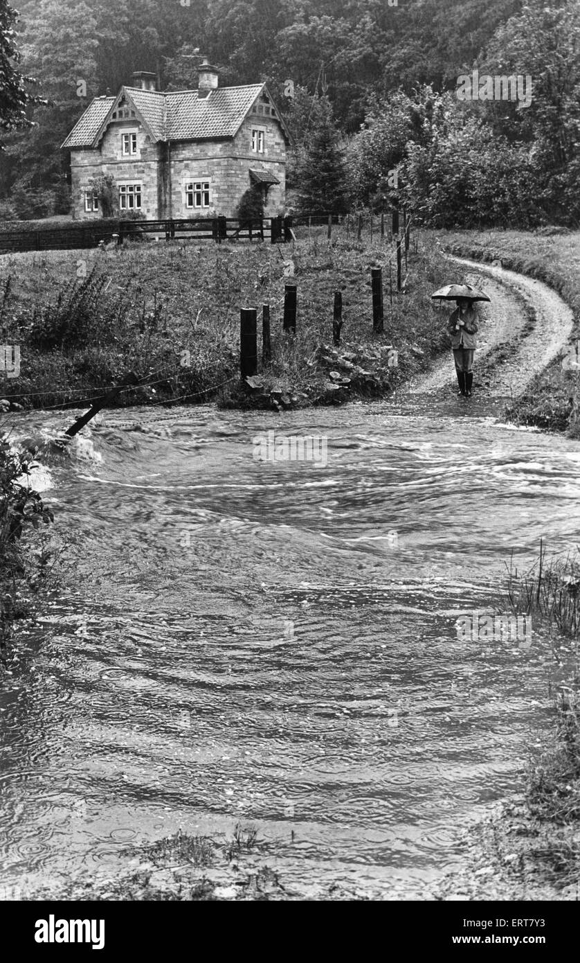 Amanda Leng at the River Leven ford at Oak Cottage, Easby, impassable ...