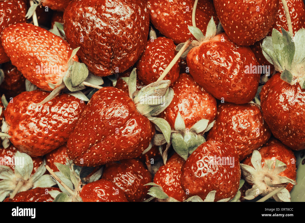 Retro Filter Of Red Summer Strawberry Fruits In Market Display Stock ...