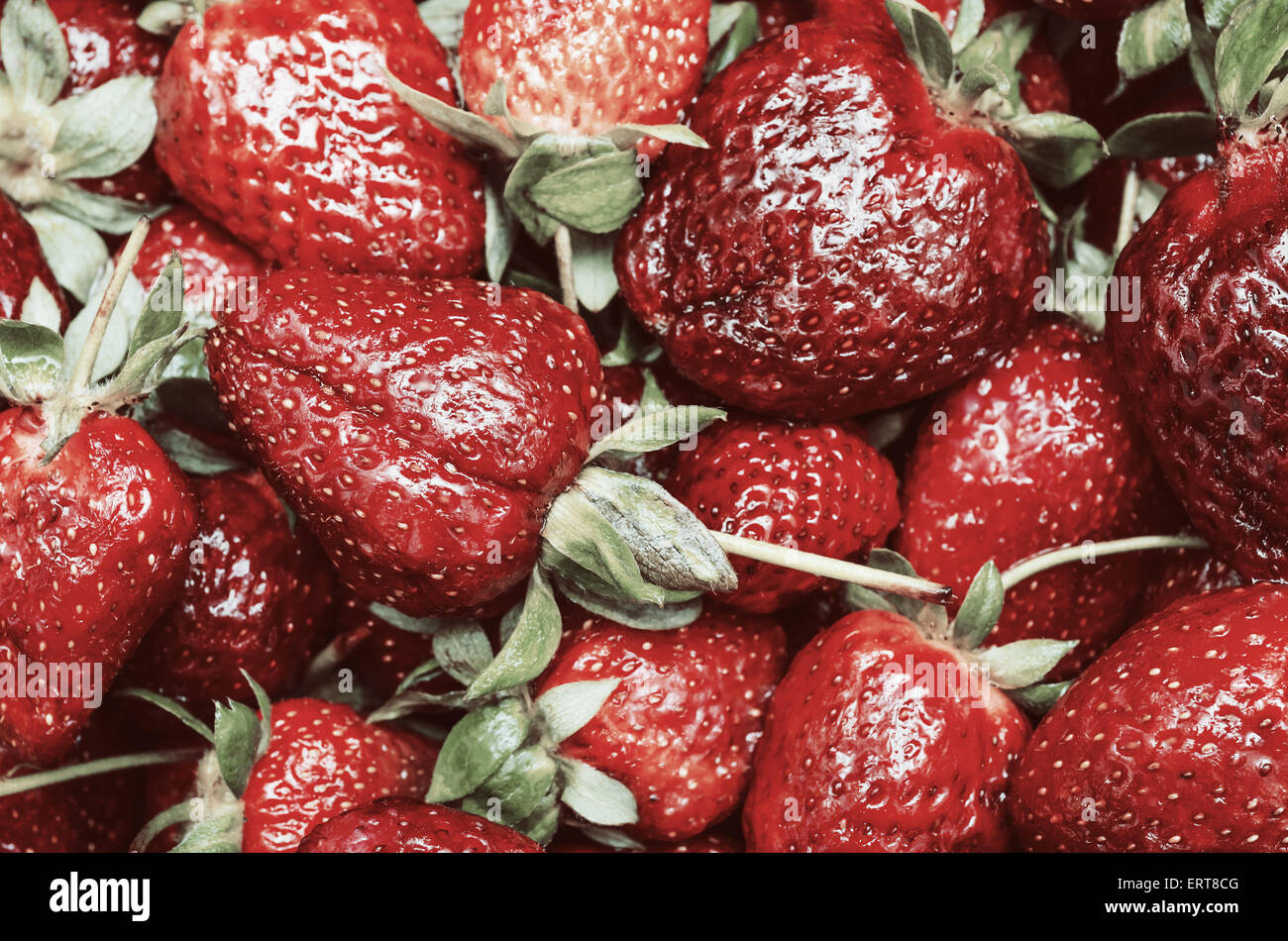 Retro Filter Of Red Summer Strawberry Fruits In Market Display Stock ...