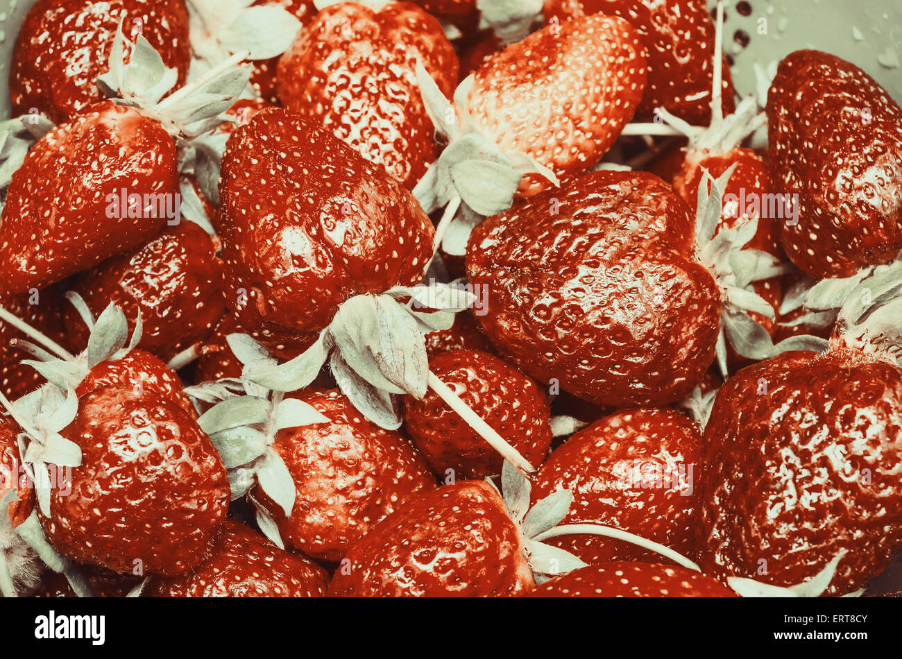 Retro Filter Of Red Summer Strawberry Fruits In Market Display Stock ...