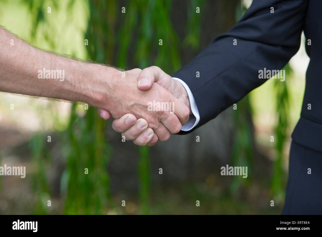 a closeup of a handshake outdoors Stock Photo - Alamy