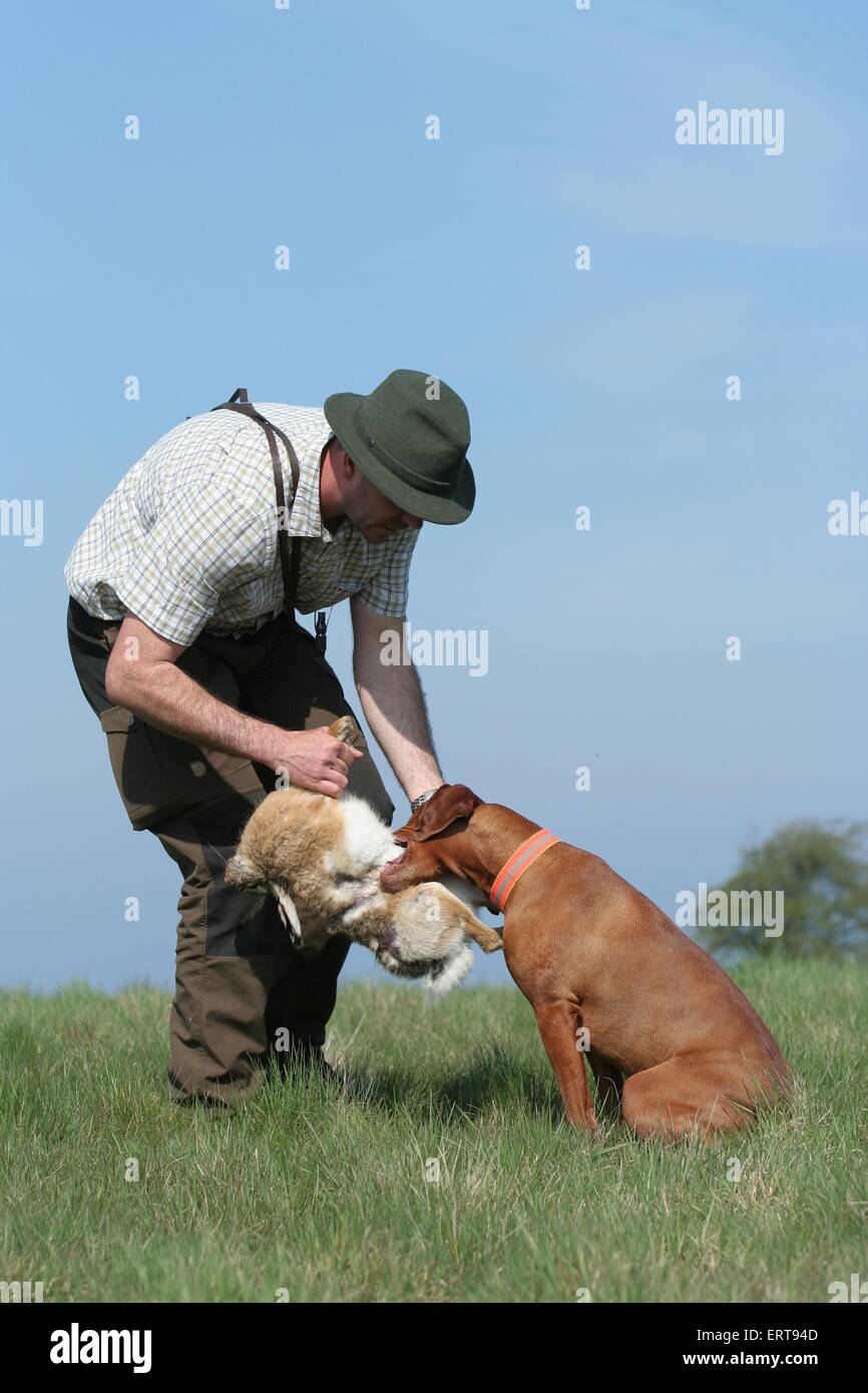 Rabbit hunting hi-res stock photography and images - Alamy