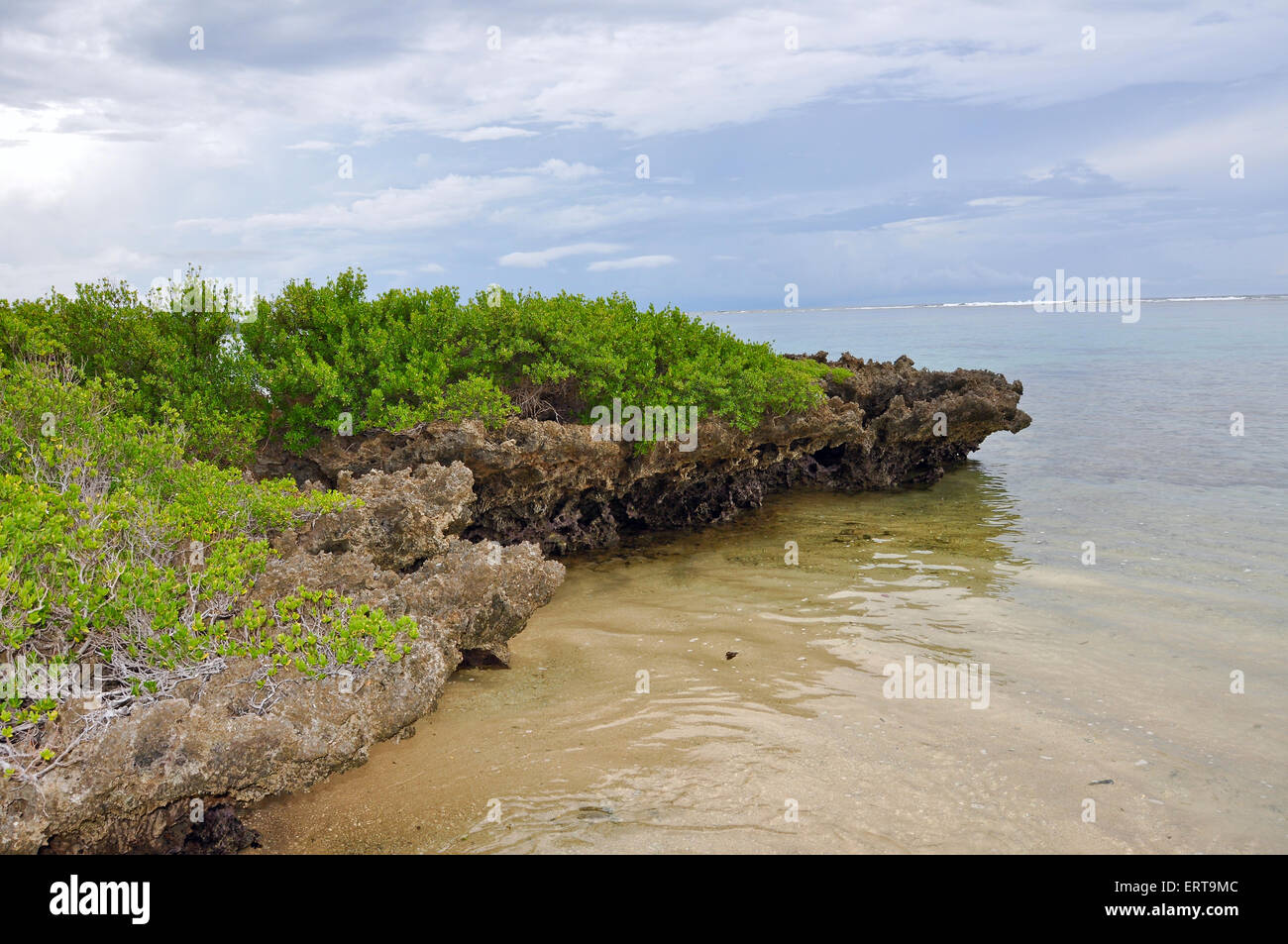 Coast of the coral reef Stock Photo - Alamy