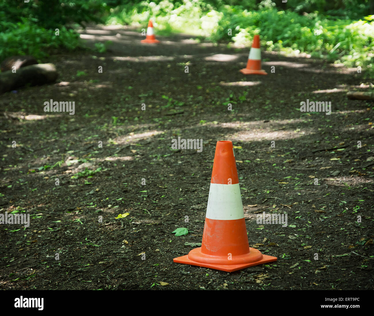 Running run sport woods cones dark hi-res stock photography and images ...