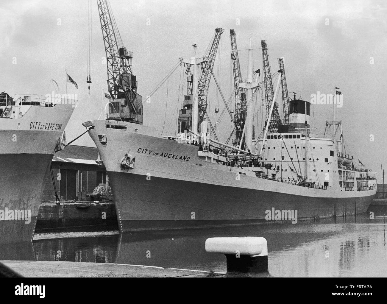 Ellerman Lines The City of Auckland cargo ship seen here in ...