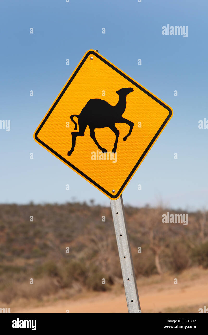 Camel warning hi-res stock photography and images - Alamy