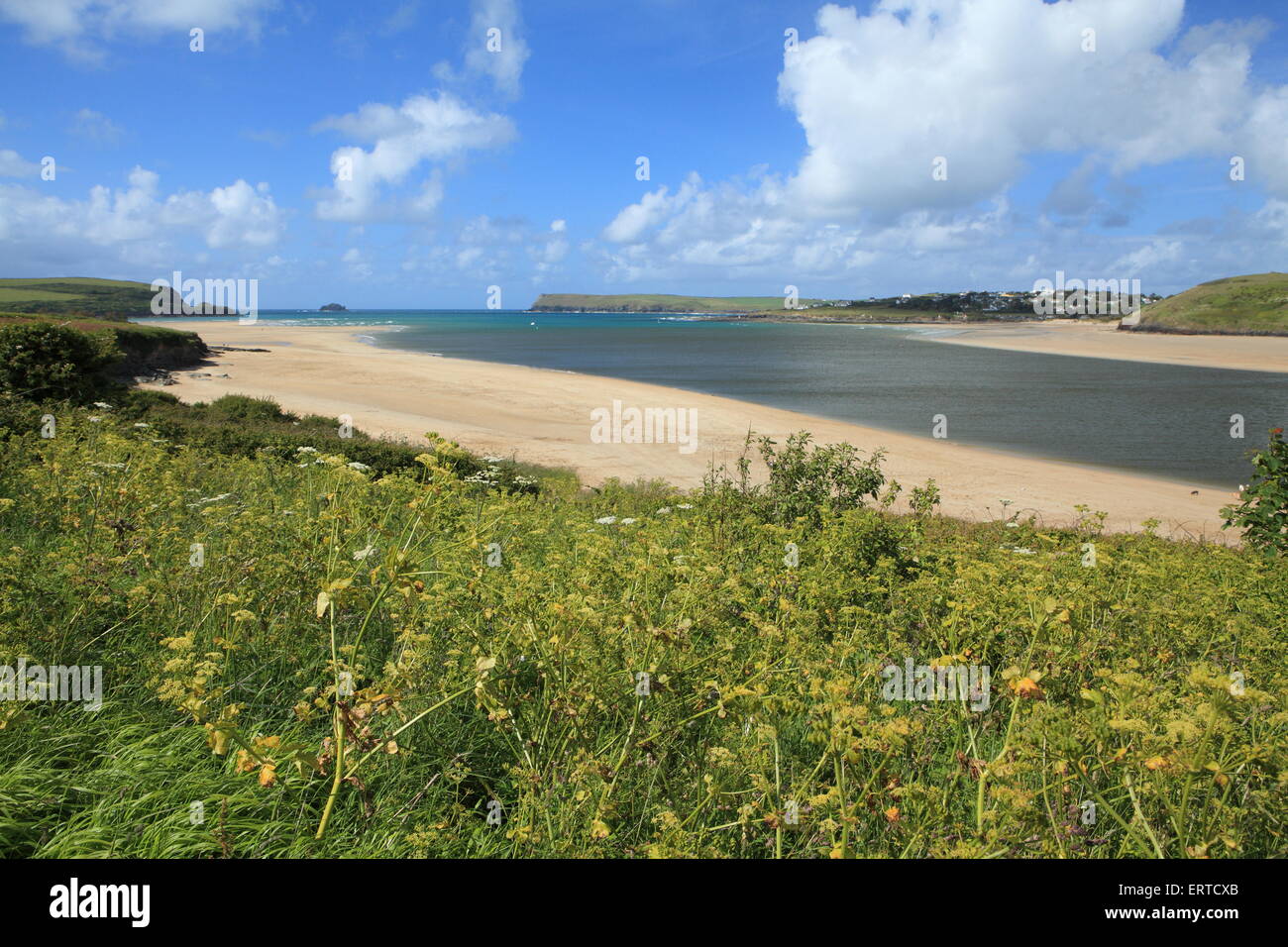 Camel estuary, early summer, Padstow, North Cornwall, England, UK Stock ...