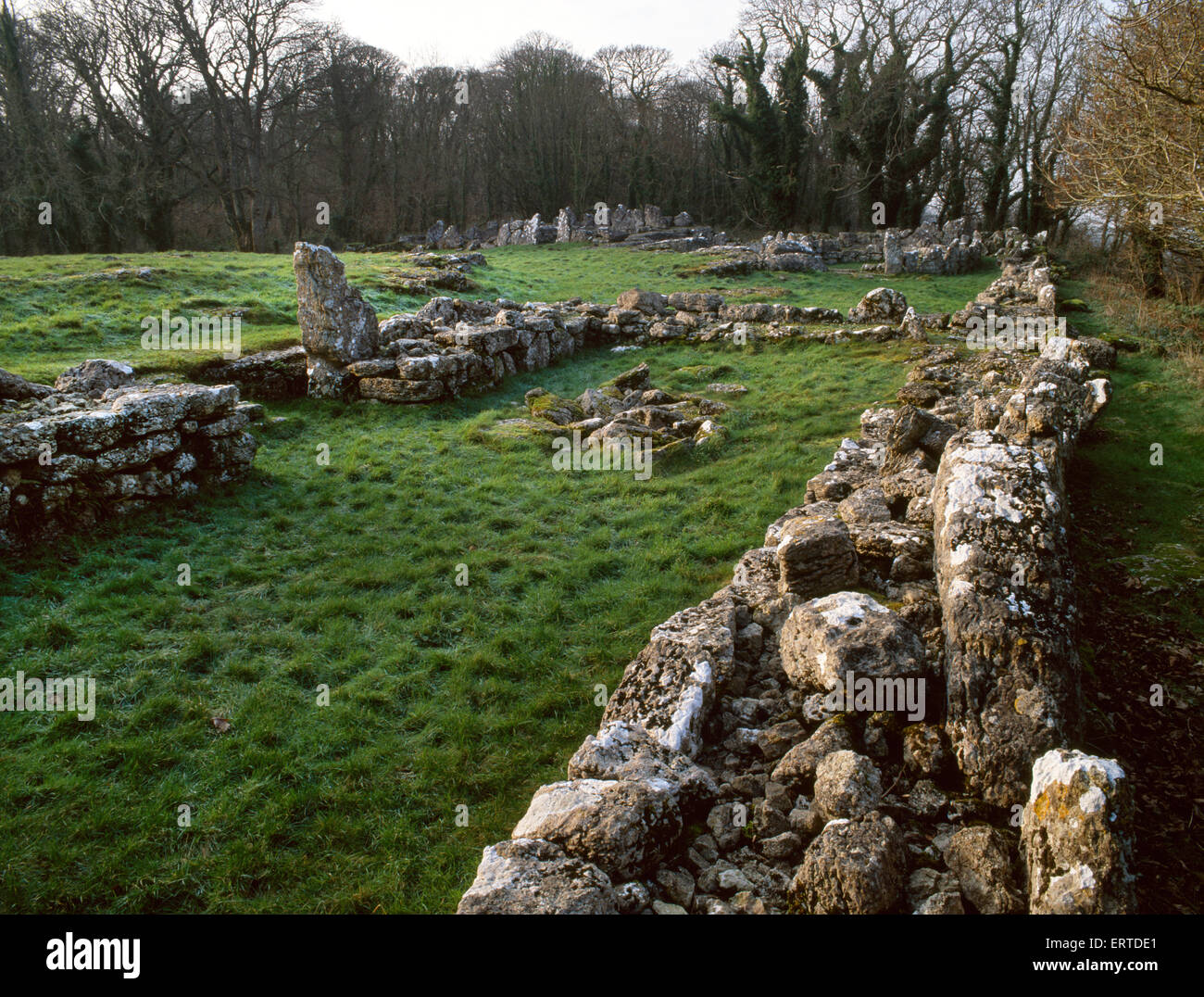 Din Lligwy enclosed hut group, Anglesey, the NE rectangular workshop ...