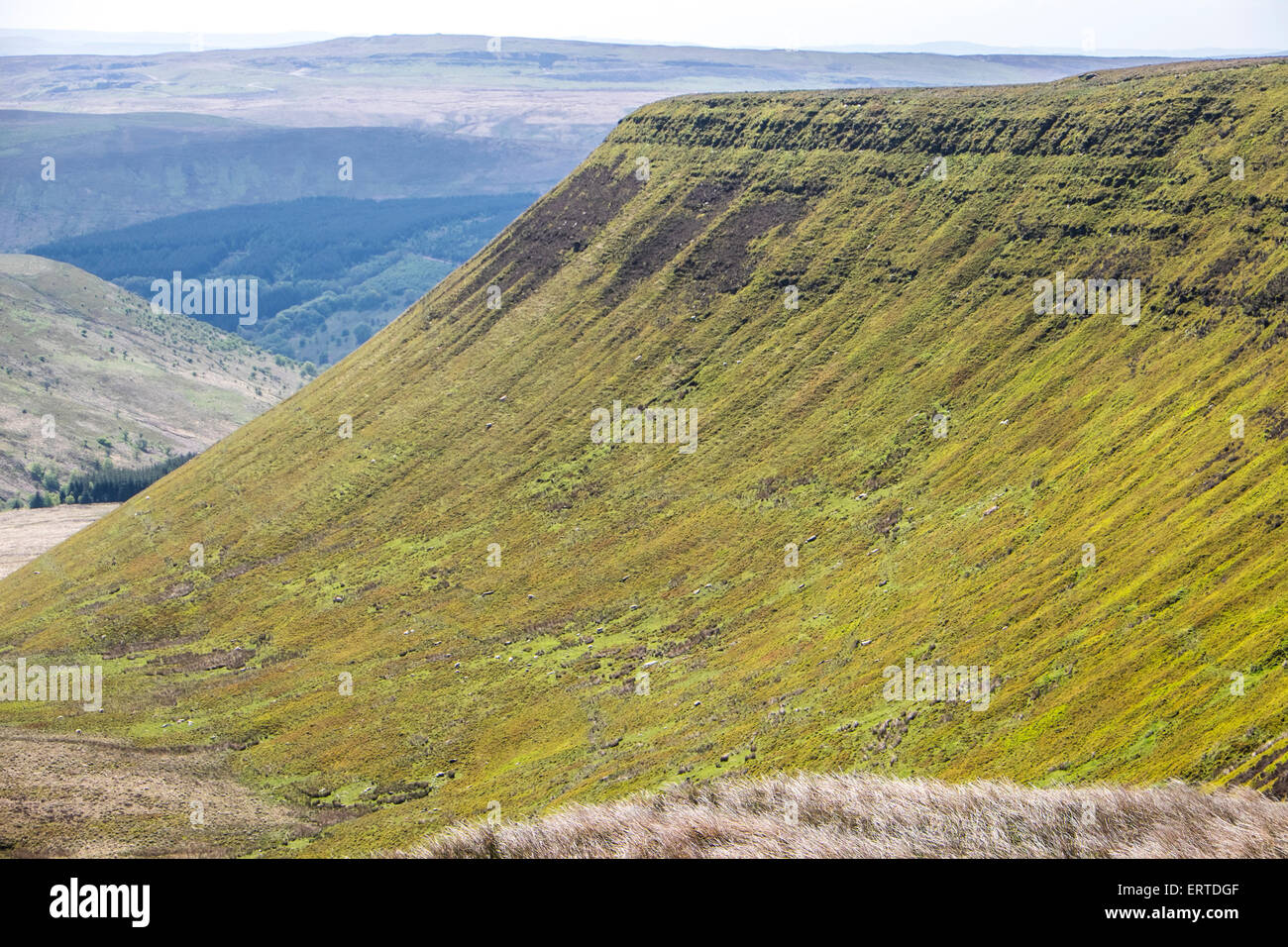 A view in the Brecon Beacons National Park Stock Photo - Alamy