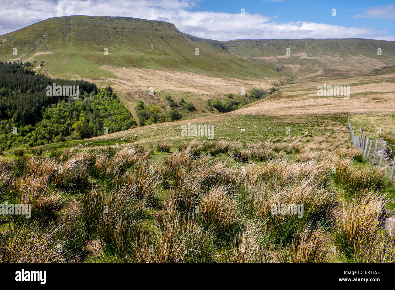 A view in the Brecon Beacons National Park Stock Photo - Alamy