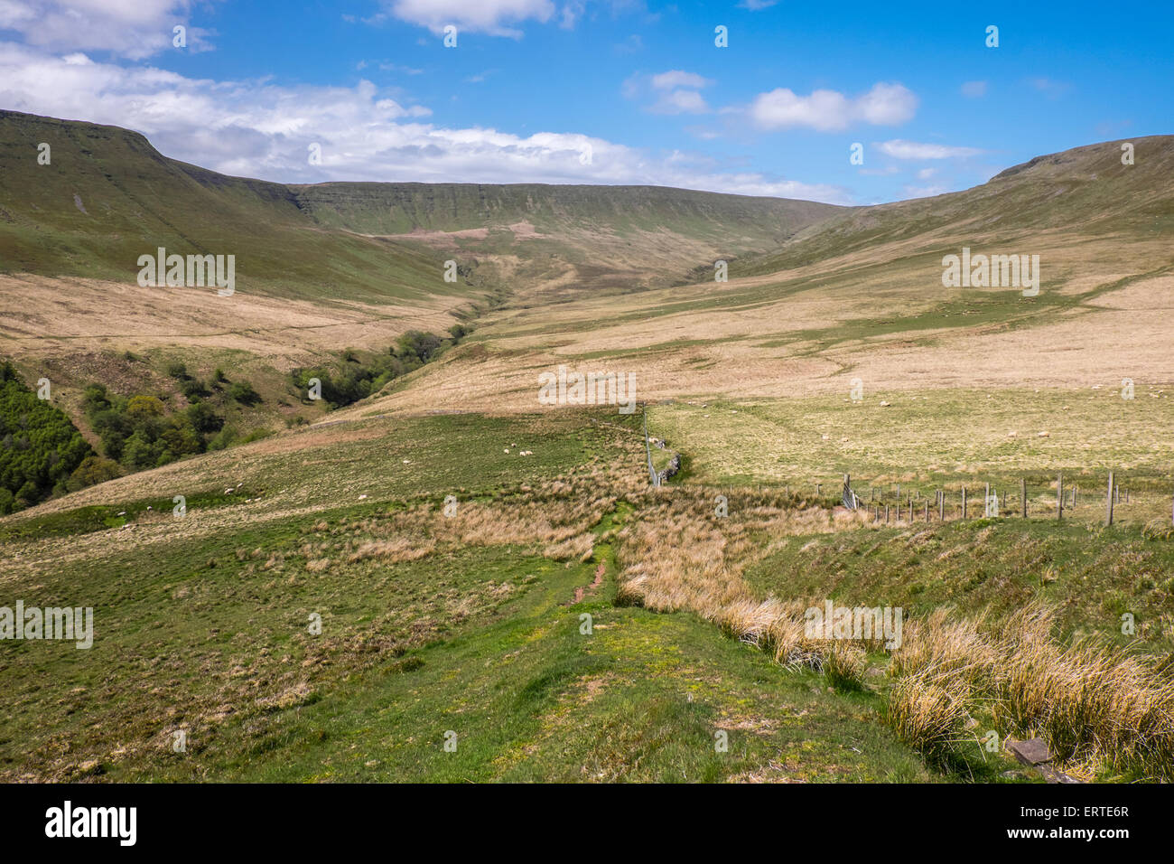 A view in the Brecon Beacons National Park Stock Photo - Alamy