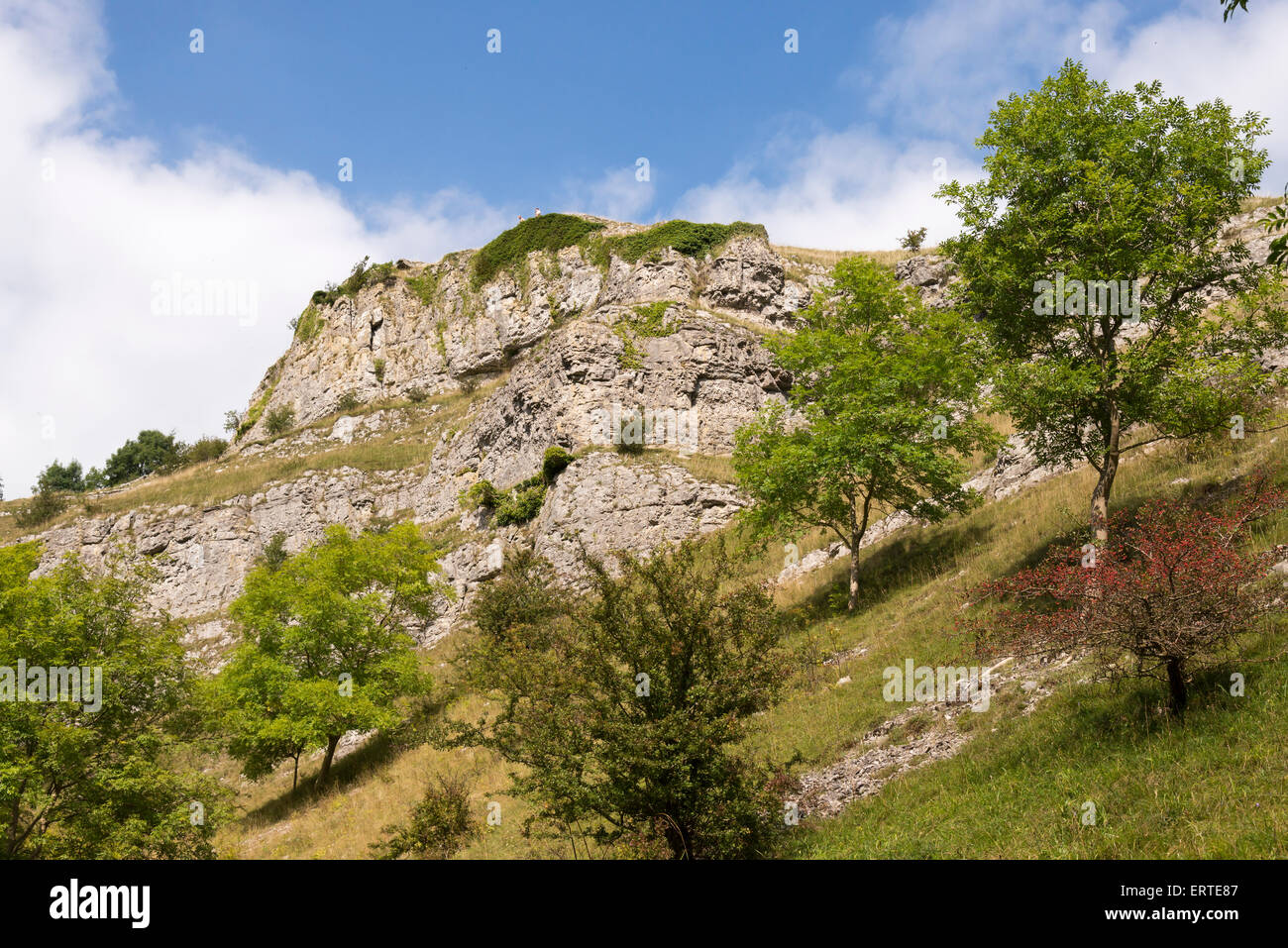 Limestone valley of Lathkill dale near Over Haddon in the Peak District ...