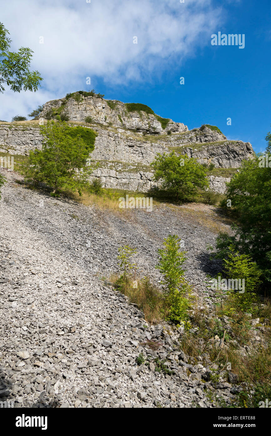 Limestone valley of Lathkill dale near Over Haddon in the Peak District ...