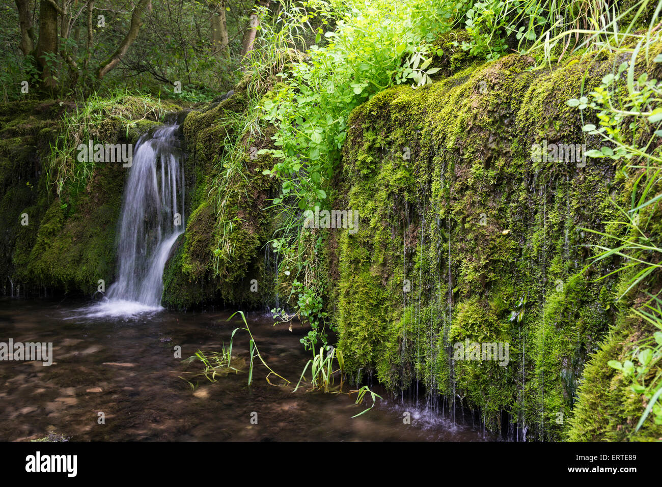Lathkill Dale National Nature Reserve in the Peak District National ...