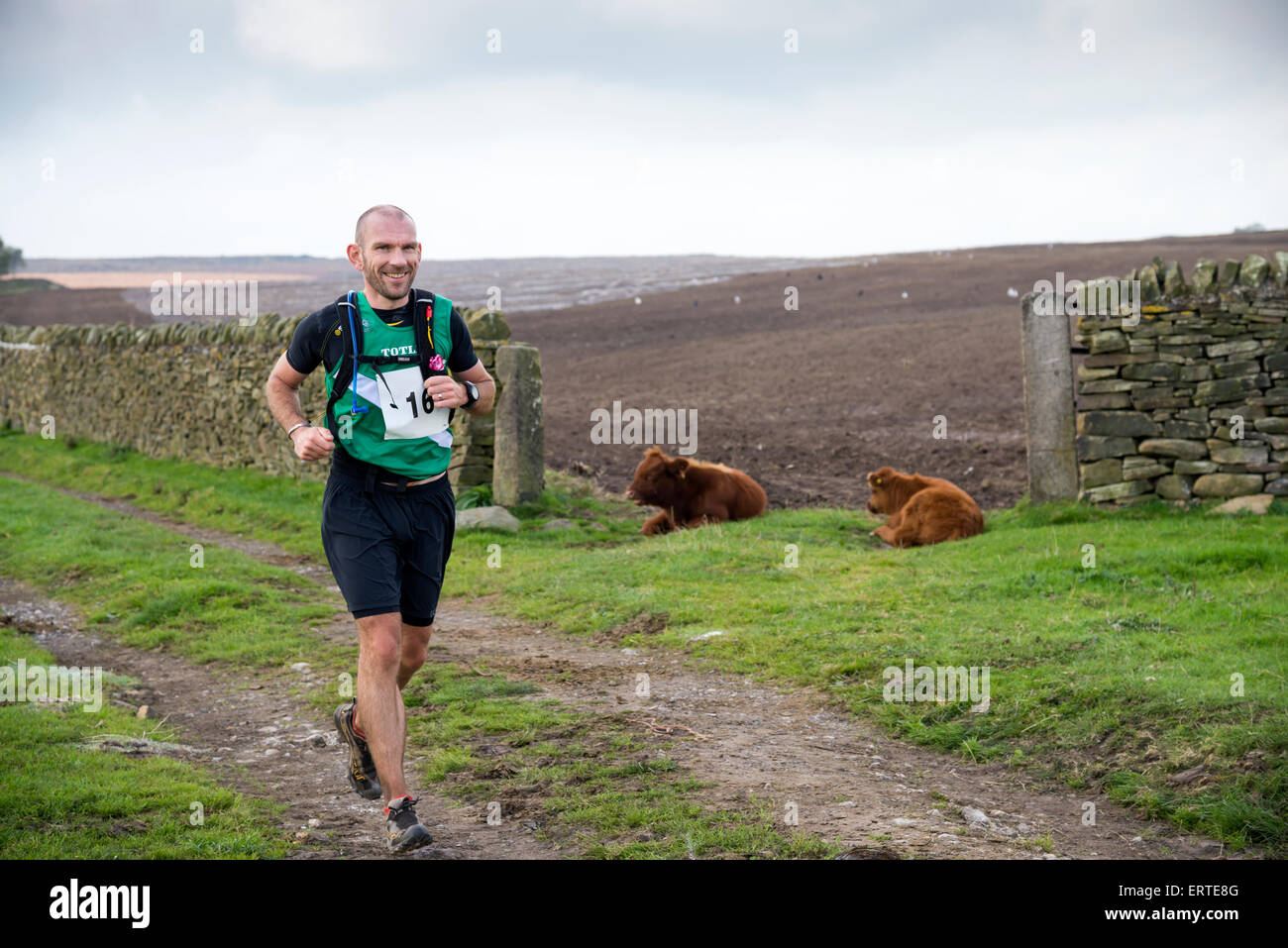 Male runner competing in long distance race in the Peak District ...