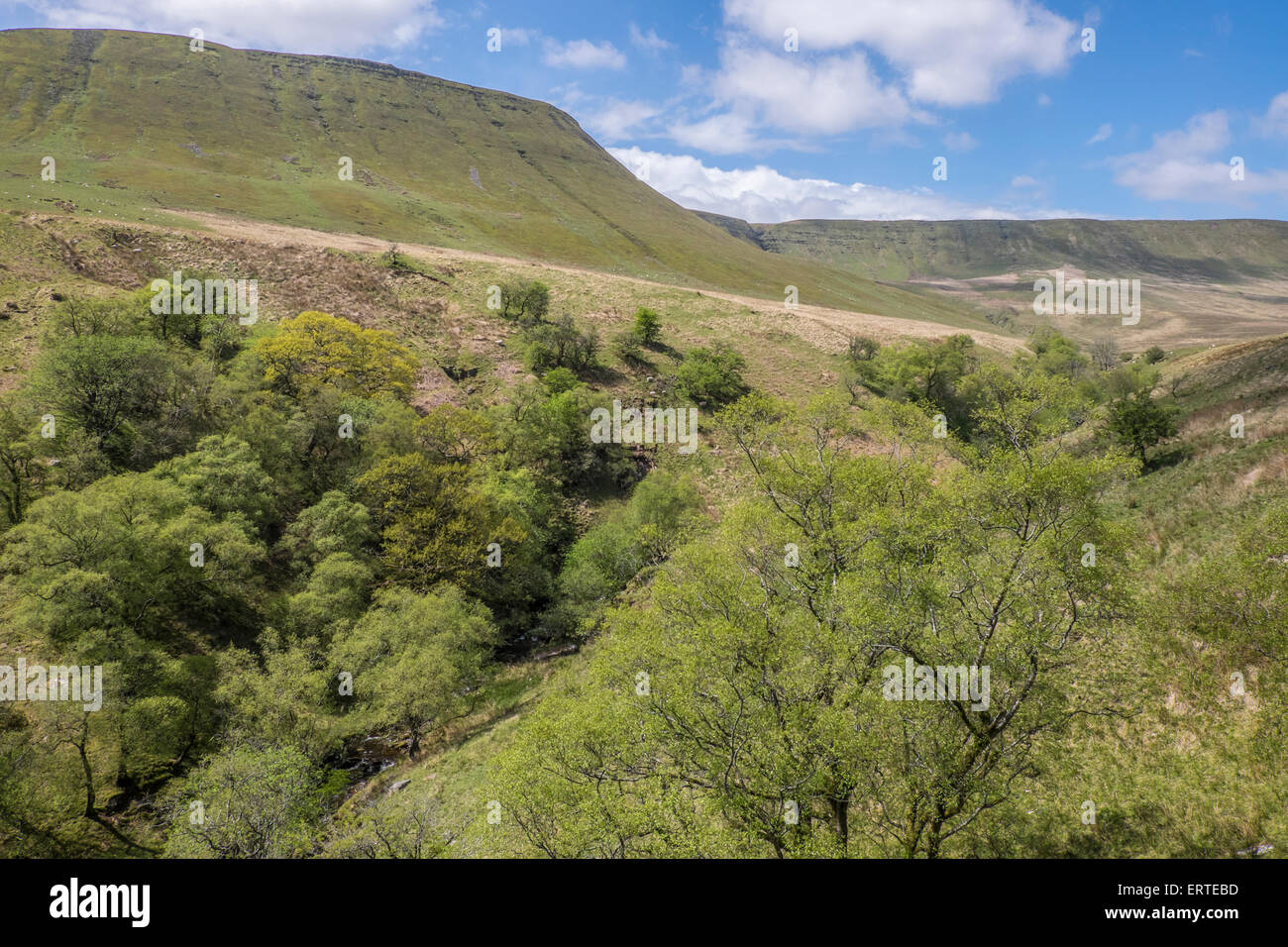 A view in the Brecon Beacons National Park Stock Photo - Alamy