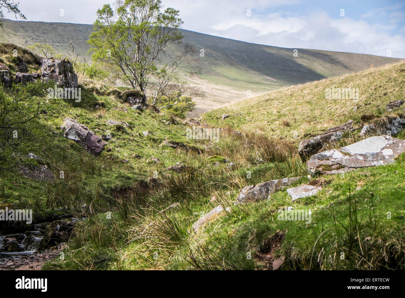 A view in the Brecon Beacons National Park Stock Photo - Alamy