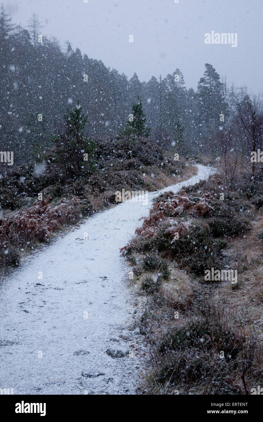 Snow covered path at Corrieshalloch Gorge, The Highlands, Scotland, UK ...