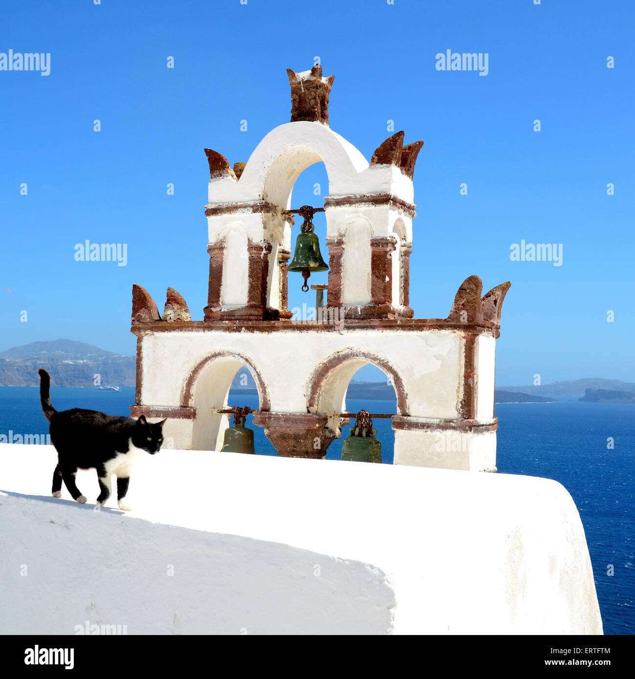 Blue cat tower hi-res stock photography and images - Alamy