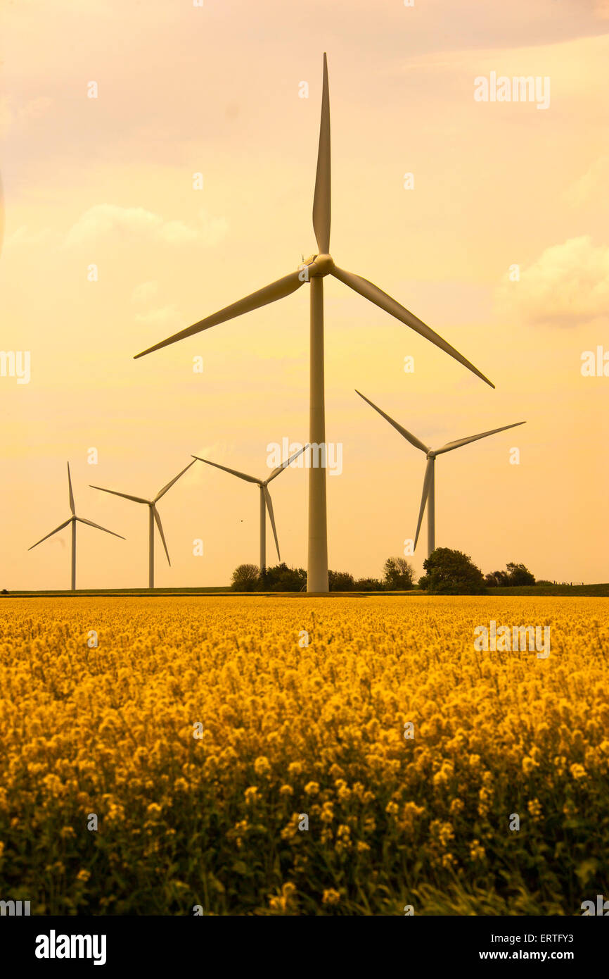 Windrad, Windmill, wheel Stock Photo - Alamy