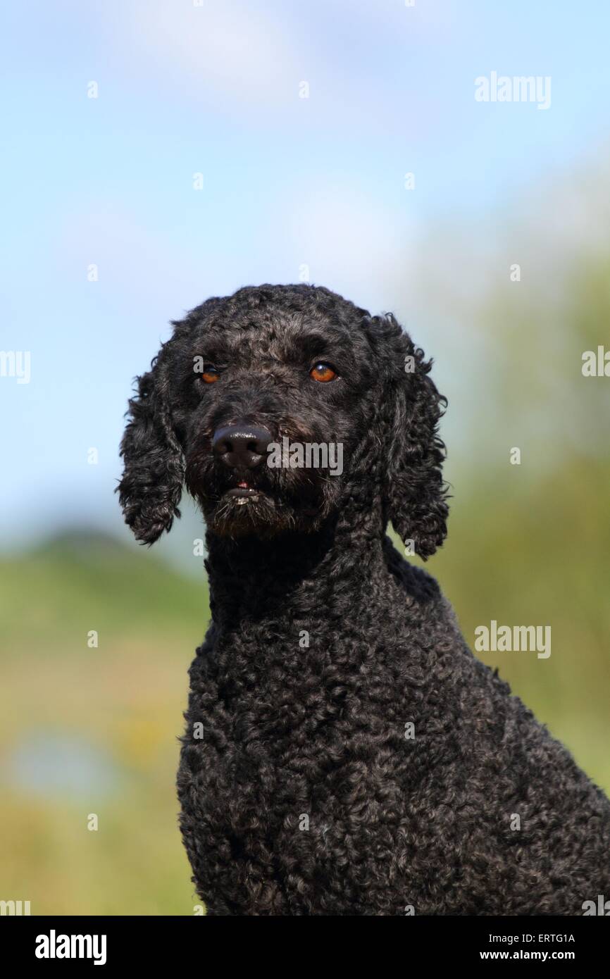 Espanols hi-res stock photography and images - Alamy