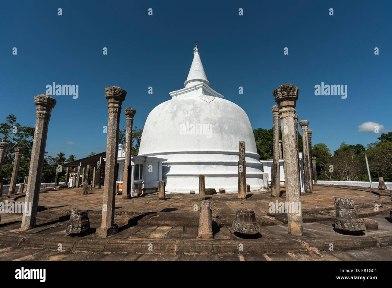 King valagamba hi-res stock photography and images - Alamy