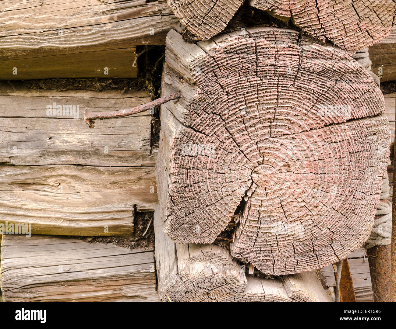 Detail of old wooden log with annual rings. From series backgrounds and ...