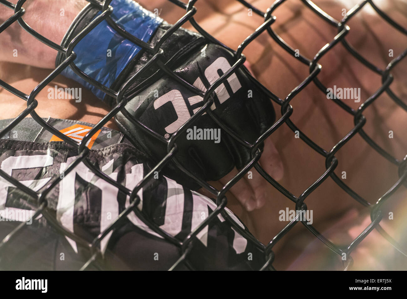 Ufc Cage Fence