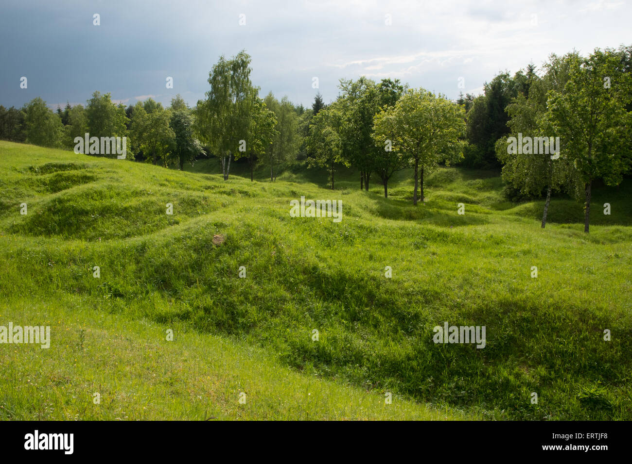 Shell holes on battlefield of Verdun at Ouvrage de Froideterre redoubt ...