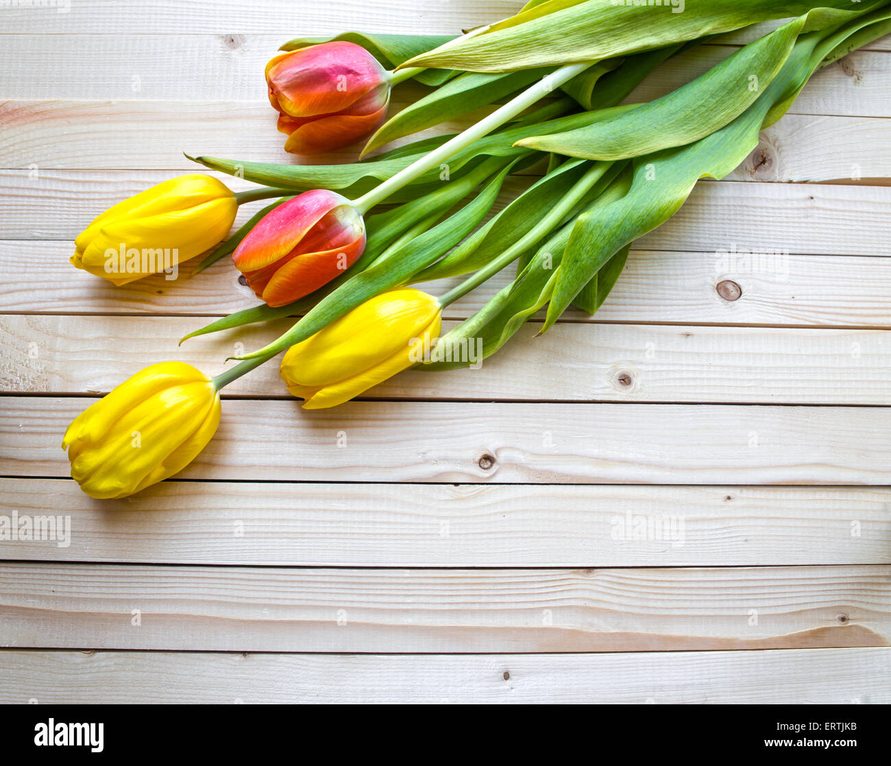 Yellow and orange tulips Stock Photo - Alamy