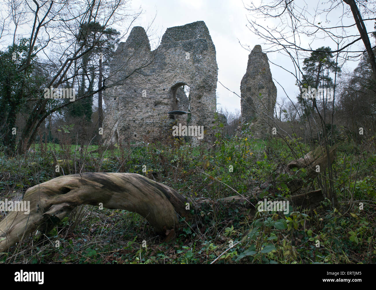Odiham Castle (also known locally as King John's Castle) is a ruined ...