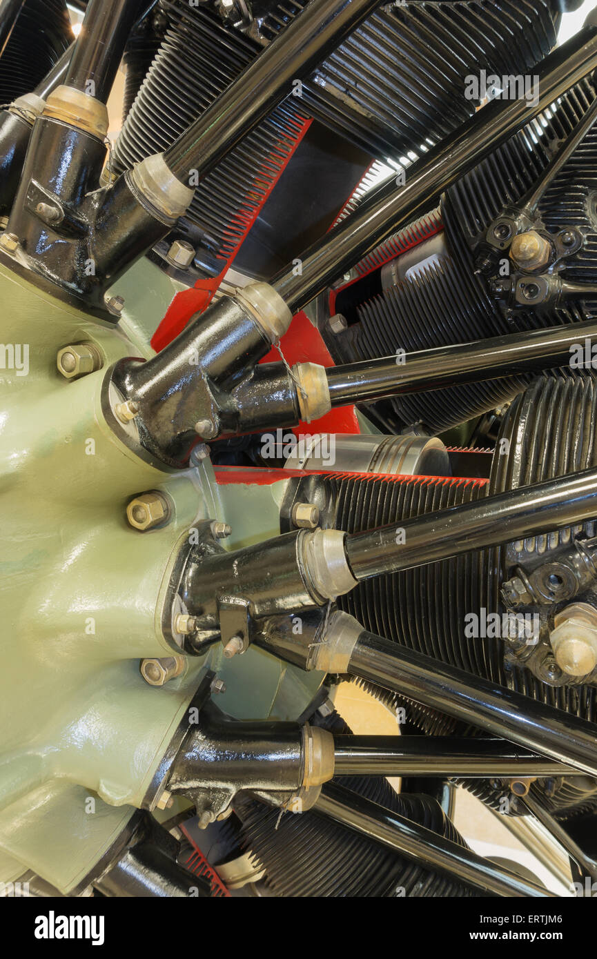 detailed exposition of the old piston aircraft engine Stock Photo - Alamy