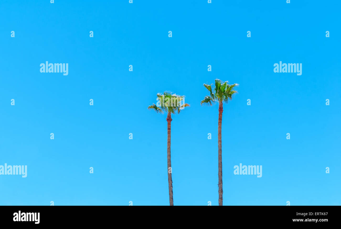 Blue sky two trees hi-res stock photography and images - Alamy
