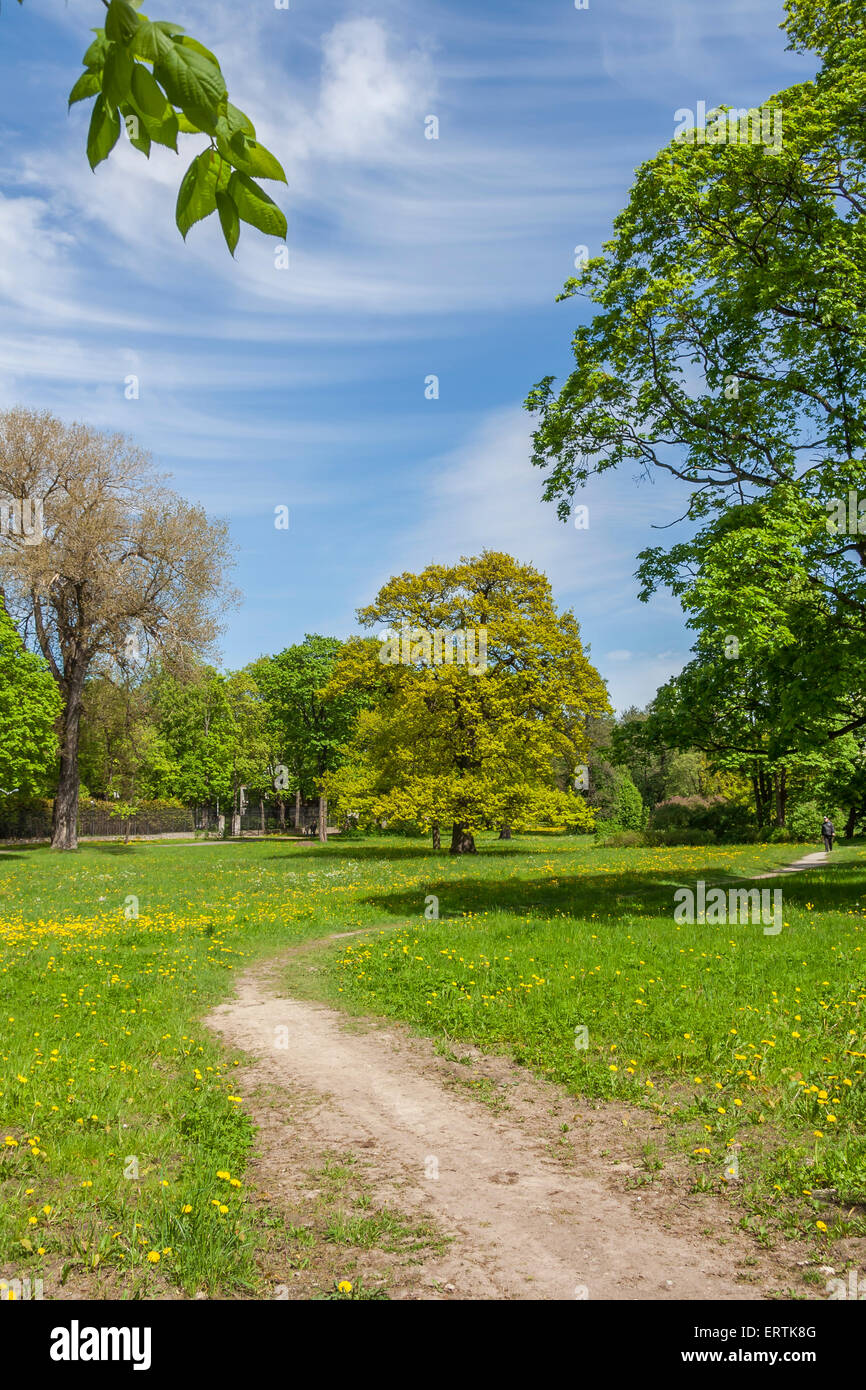 Road In The Park Stock Photo - Alamy