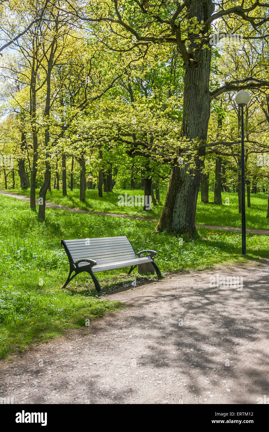 Bench In a Summer Park Stock Photo - Alamy