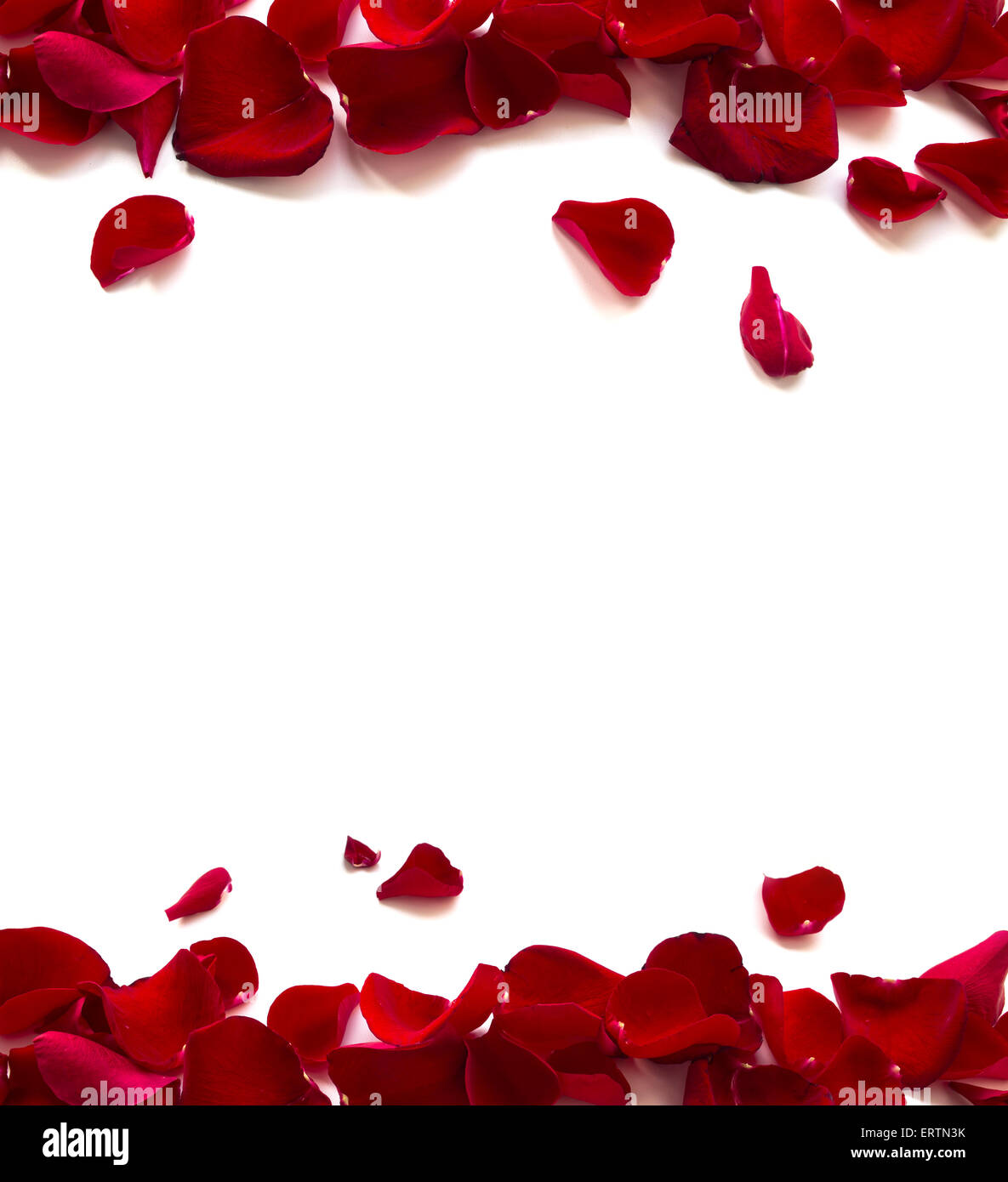 Rose Petals Border Stock Photo - Alamy