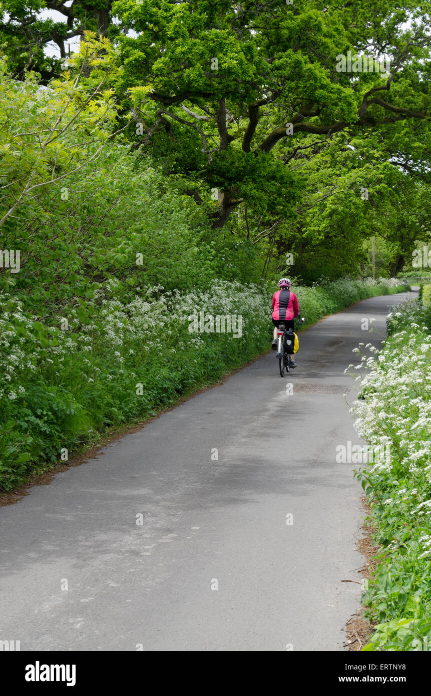 English country lane in spring hi-res stock photography and images - Alamy