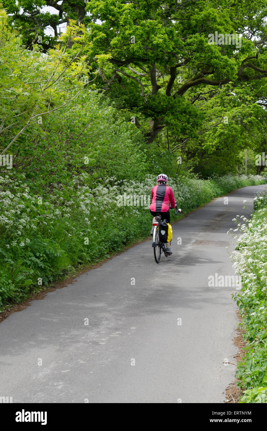 Cycling in the spring sunshine hi-res stock photography and images - Alamy