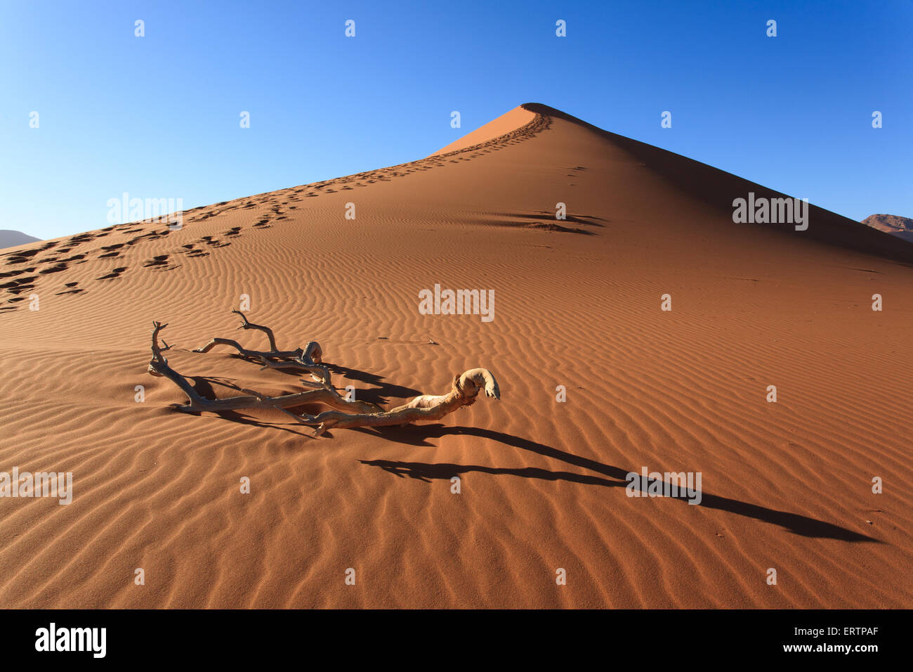 Red dune on the road to Sossusvlei, Namibia Stock Photo - Alamy
