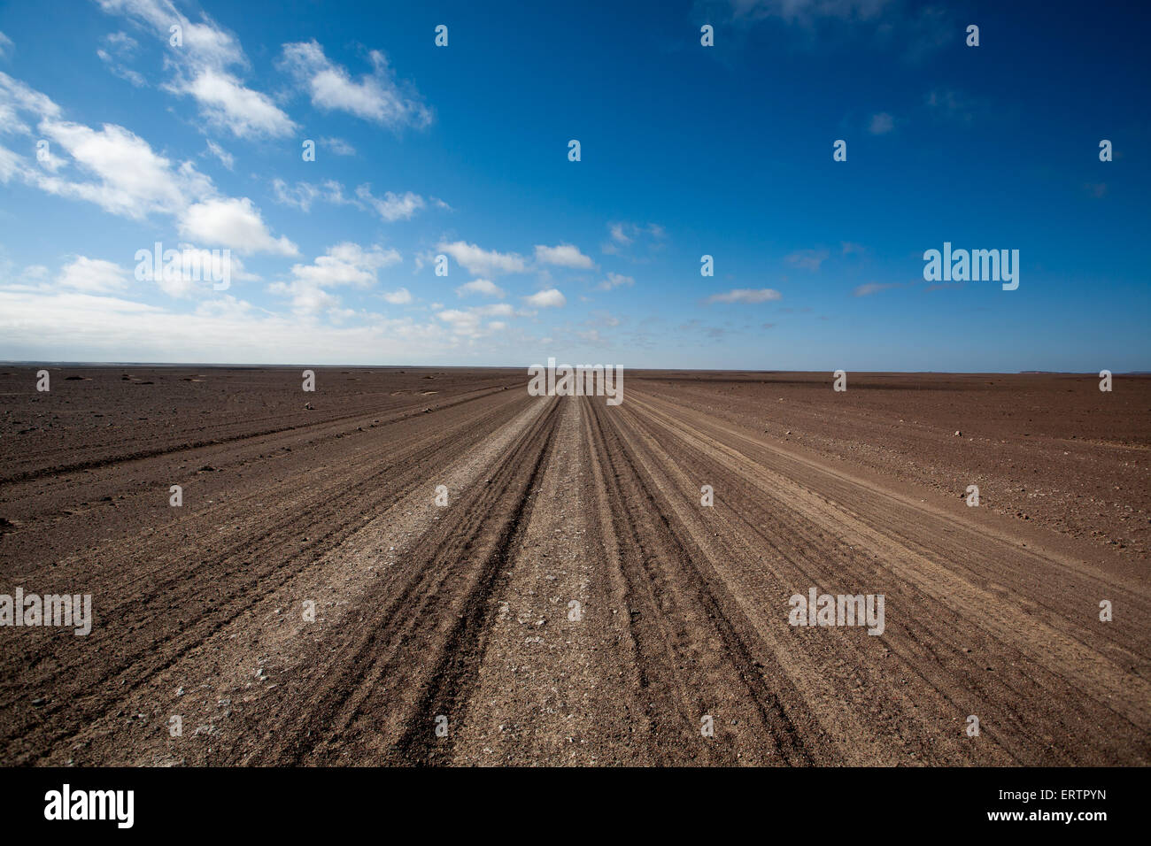 Namibian salt hi-res stock photography and images - Alamy
